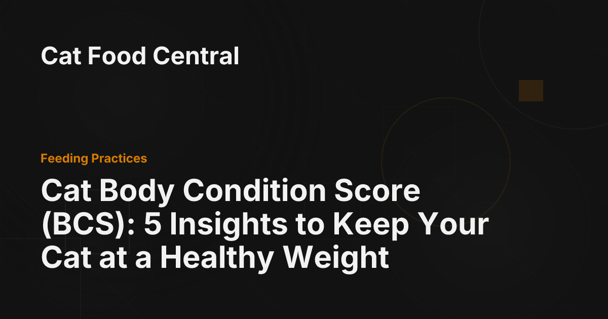 Cat Body Condition Score (BCS): 5 Insights to Keep Your Cat at a ...